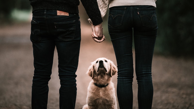Animals Deserve Respect As Much As People | Ollin Davis